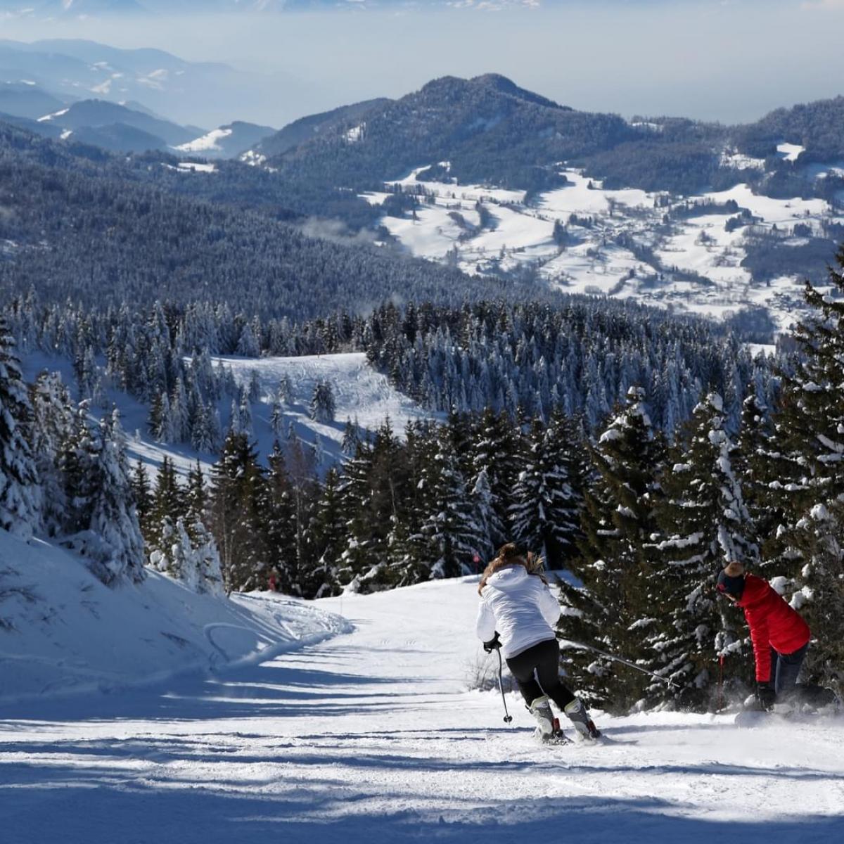 Photos/Vidéos | Le Collet