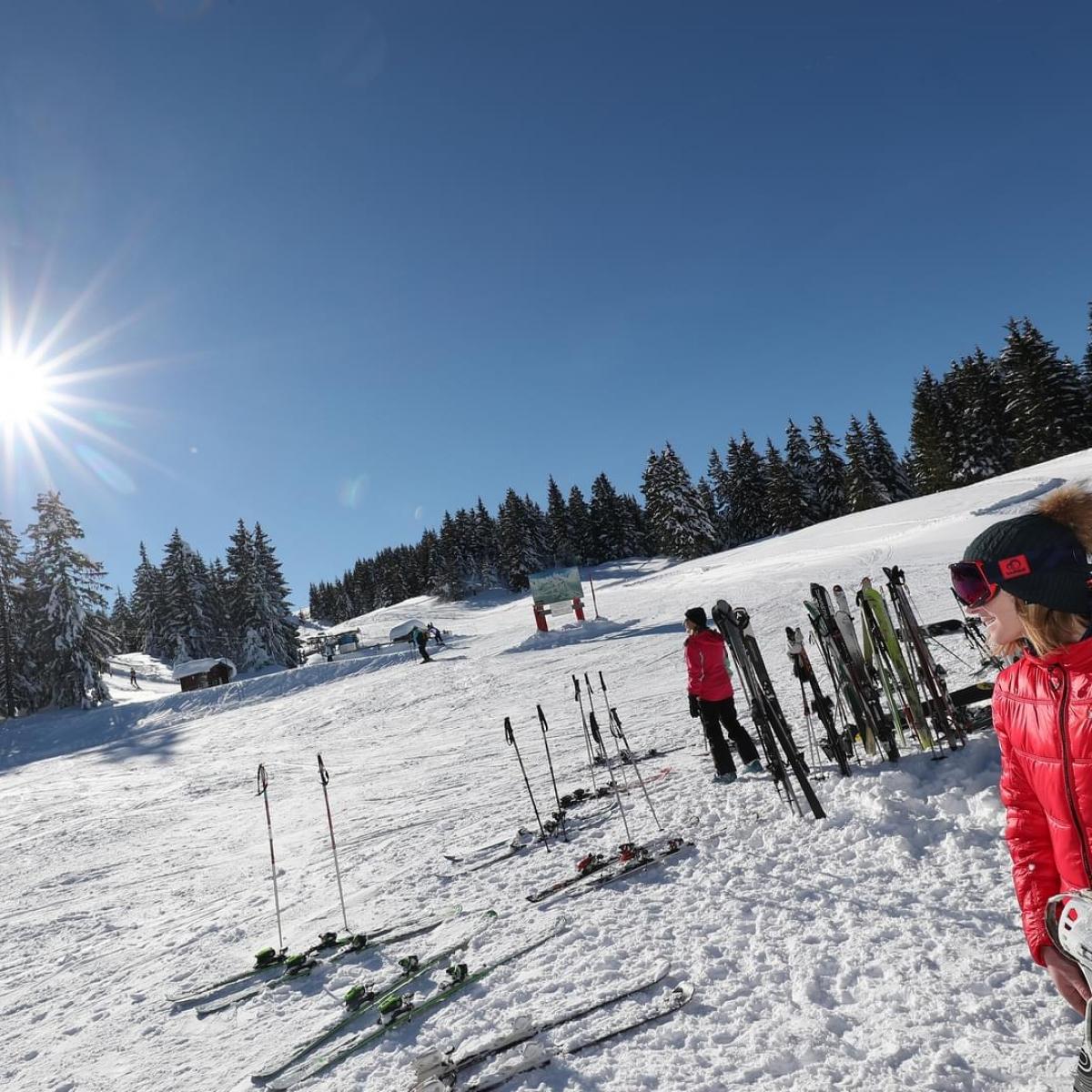 Photos/Vidéos | Le Collet