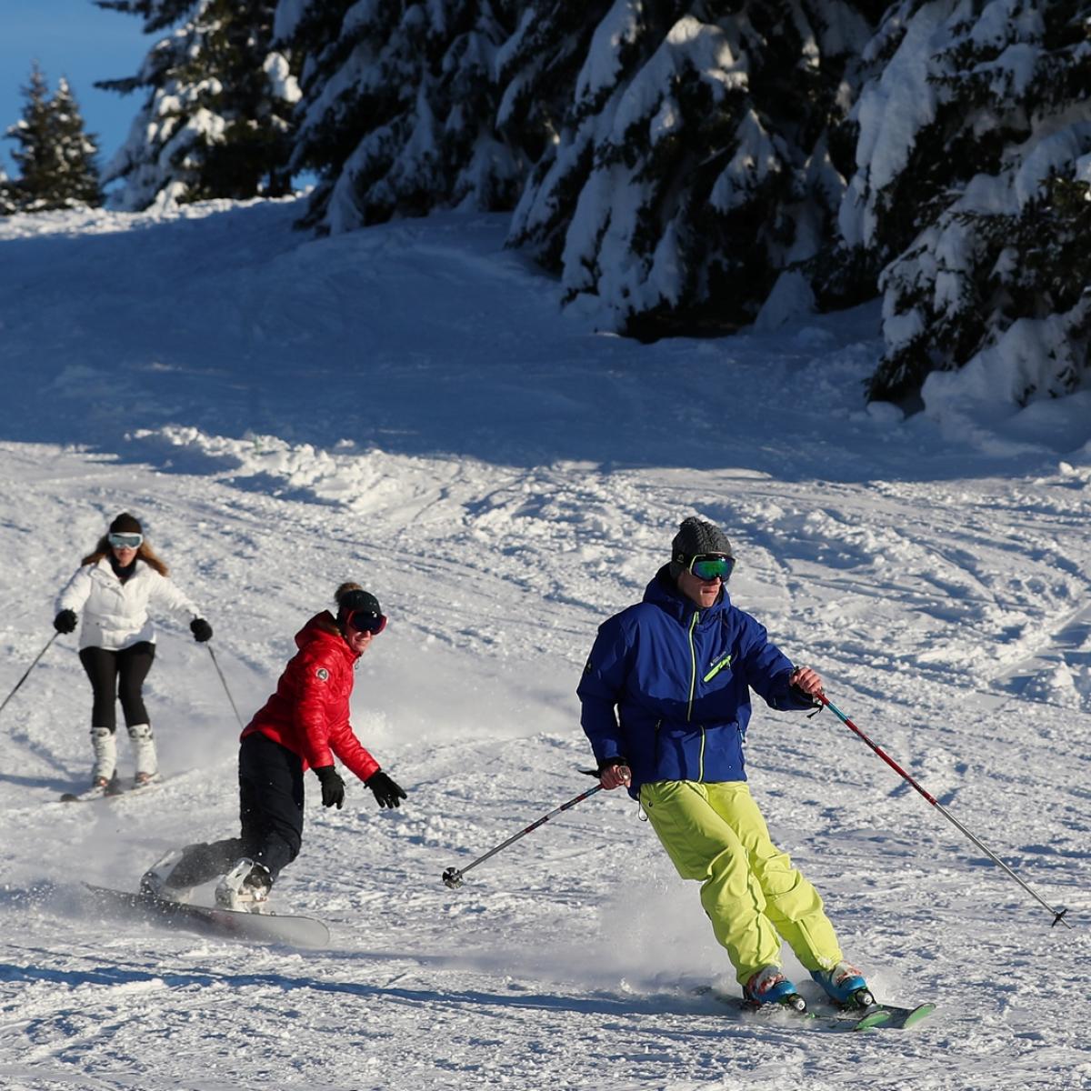 Photos/Vidéos | Le Collet