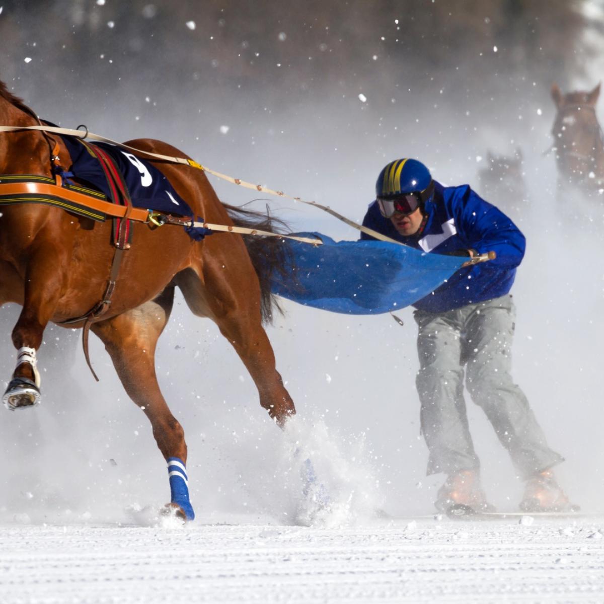 Ski joering – Ski drawn by a horse | Le Collet d’Allevard